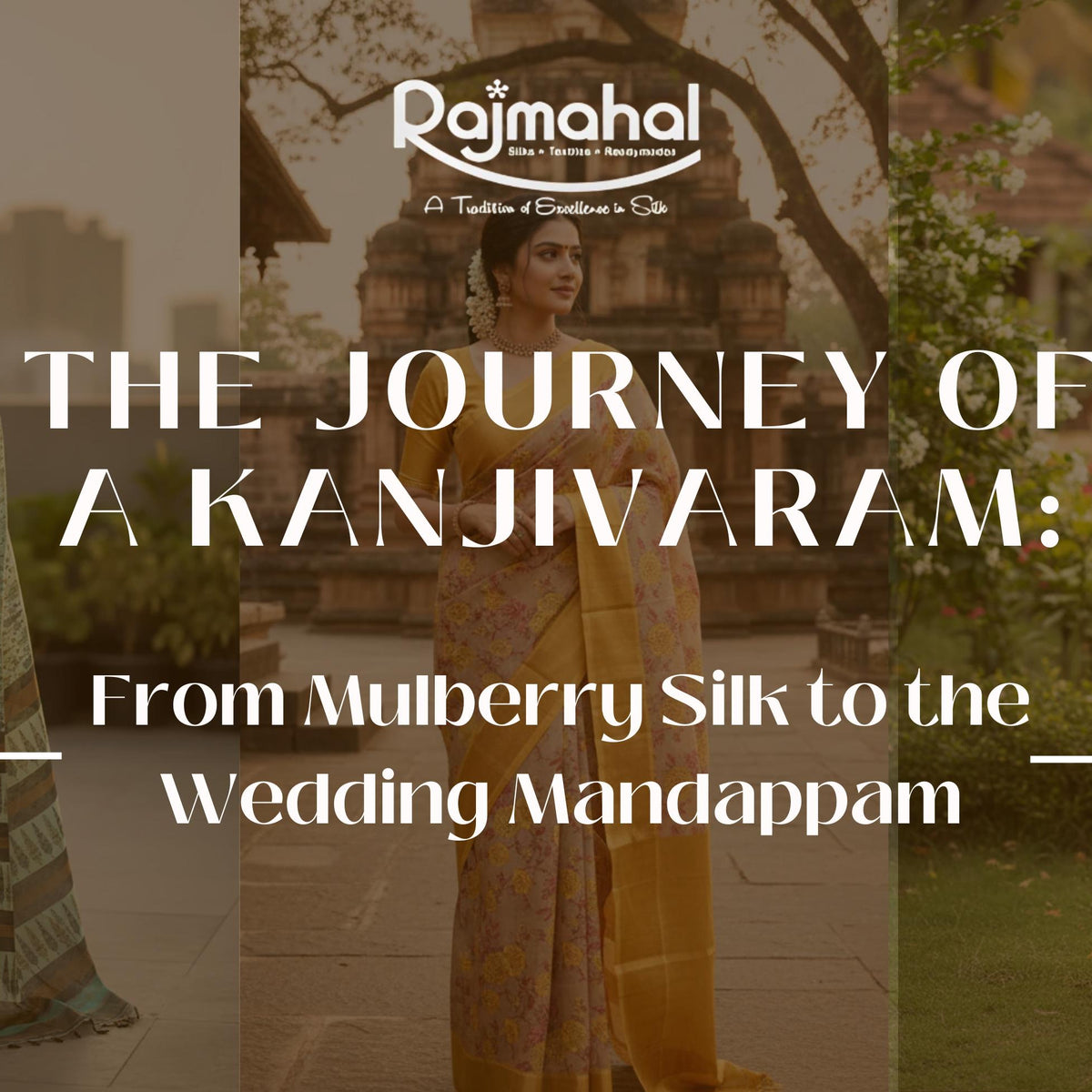 The Journey of a Kanjivaram: From Mulberry Silk to the Wedding Mandapp ...